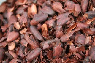 Mutiny In the Garden: Working With Cocoa Bean Mulch